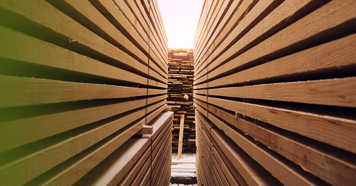 Hardwood vs. Softwood | Beilers Sawmill